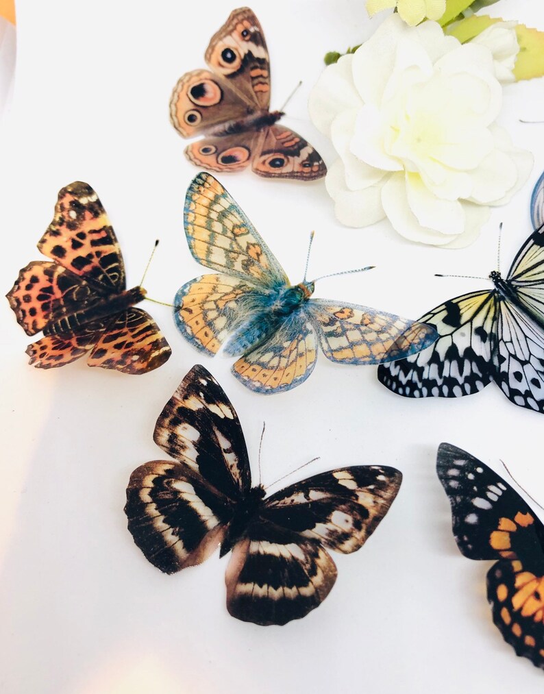 3D Decorative Butterflies x 8 3D Butterfly Art Wedding | Etsy