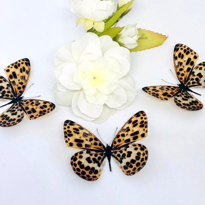 Leopard Butterfly Wall Art - Etsy UK