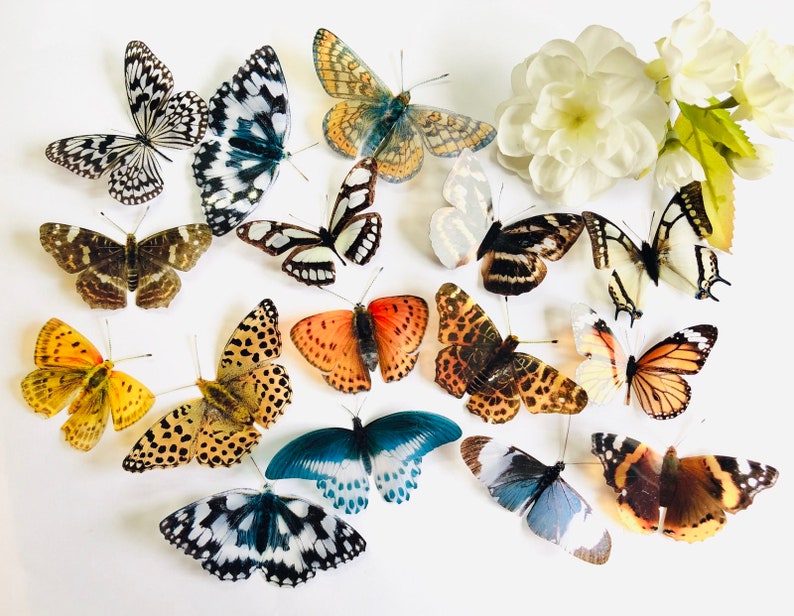 3D Decorative Butterflies X 16, 3D Butterfly Art, Wedding ...