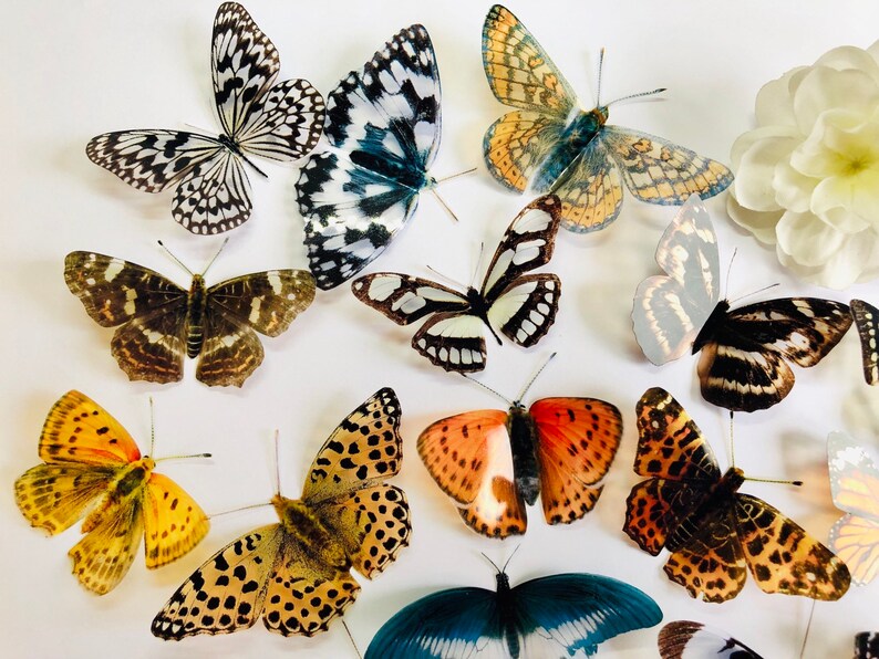 3D Decorative Butterflies x 16 3D Butterfly Art Wedding | Etsy