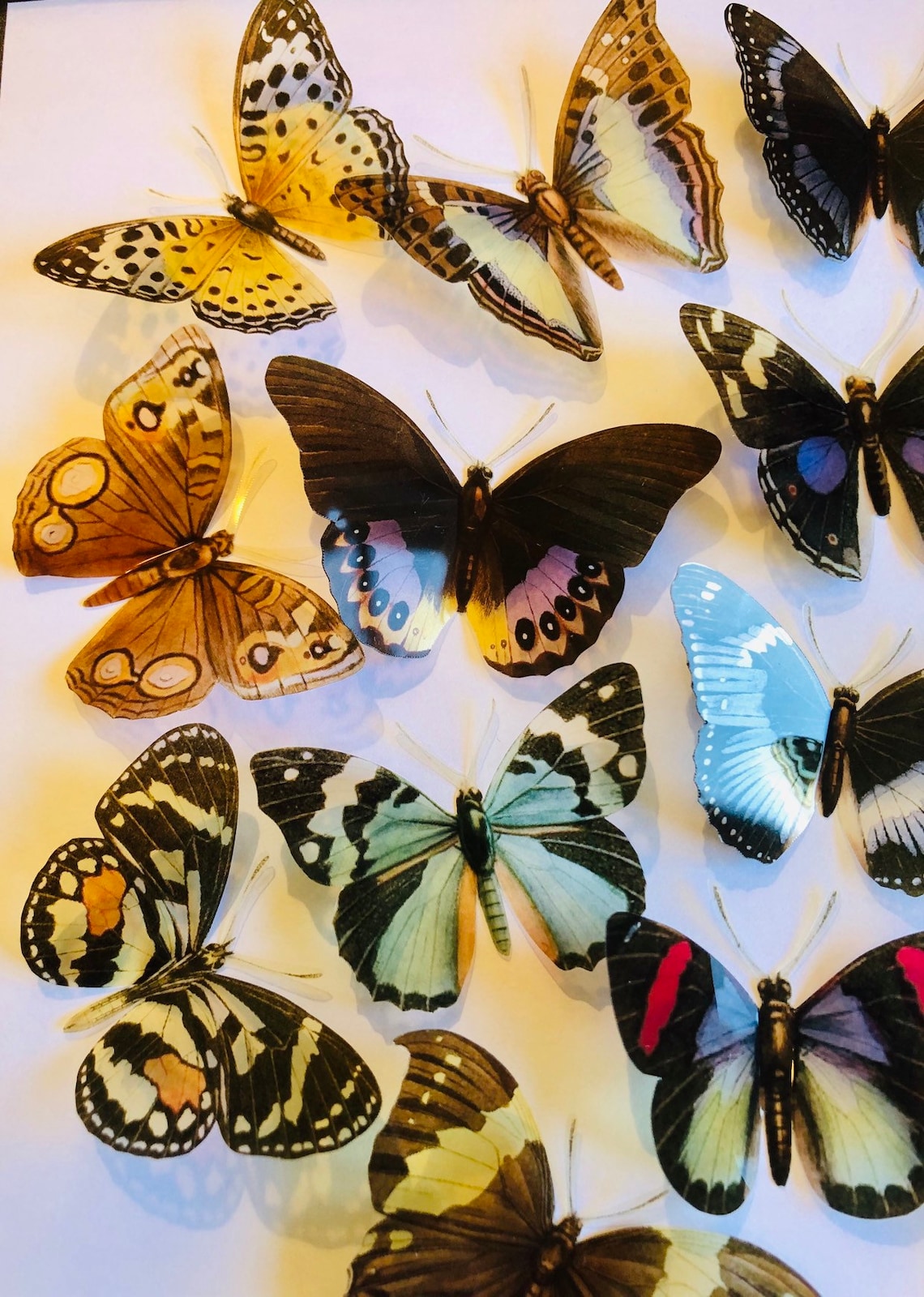 3D Decorative Butterflies x 21 3D Butterfly Art Shabby Chic | Etsy