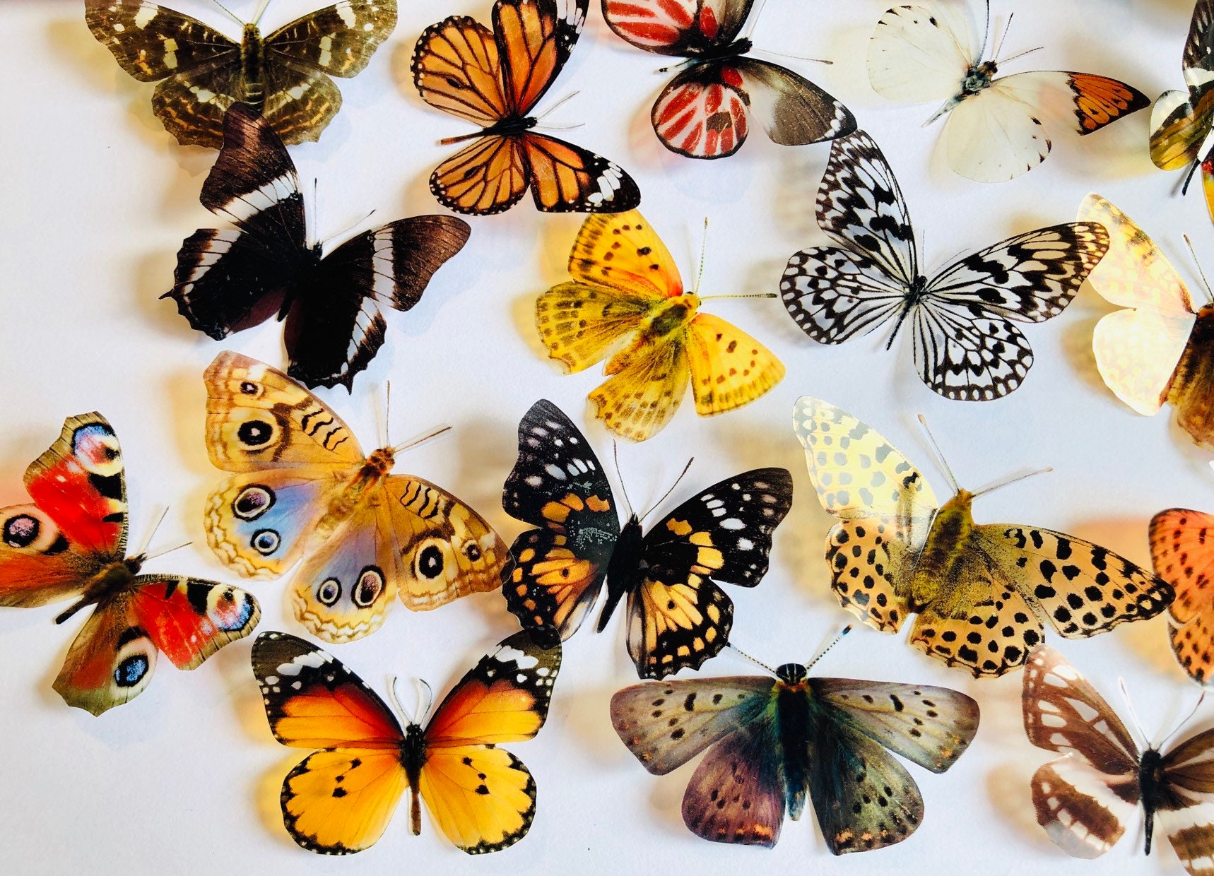 3D Decorative Butterflies x 25 3D Butterfly Art Wedding | Etsy