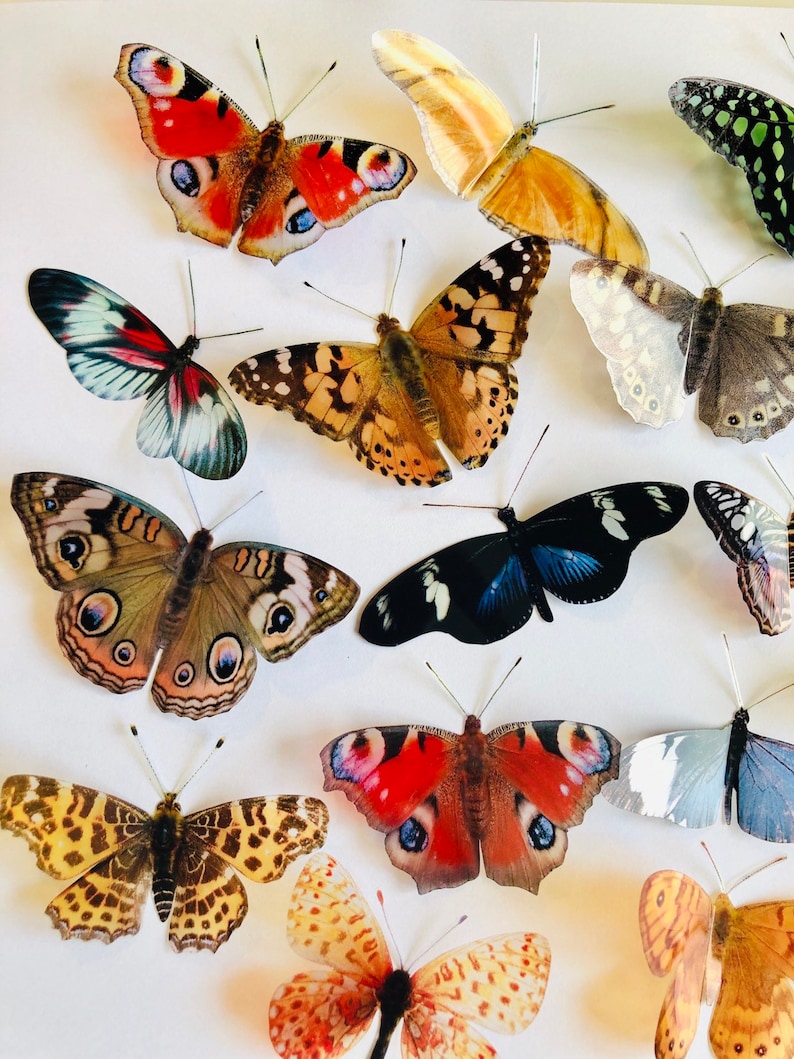 3D Decorative Butterflies X 20 3D Butterfly Art Wedding - Etsy