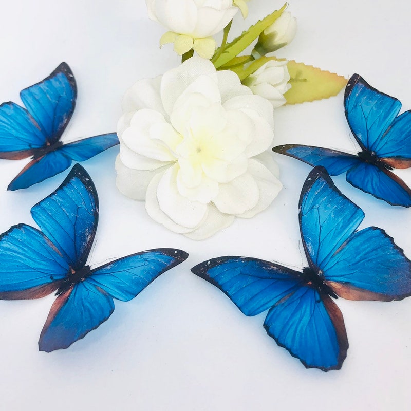 Butterfly Models - Etsy UK