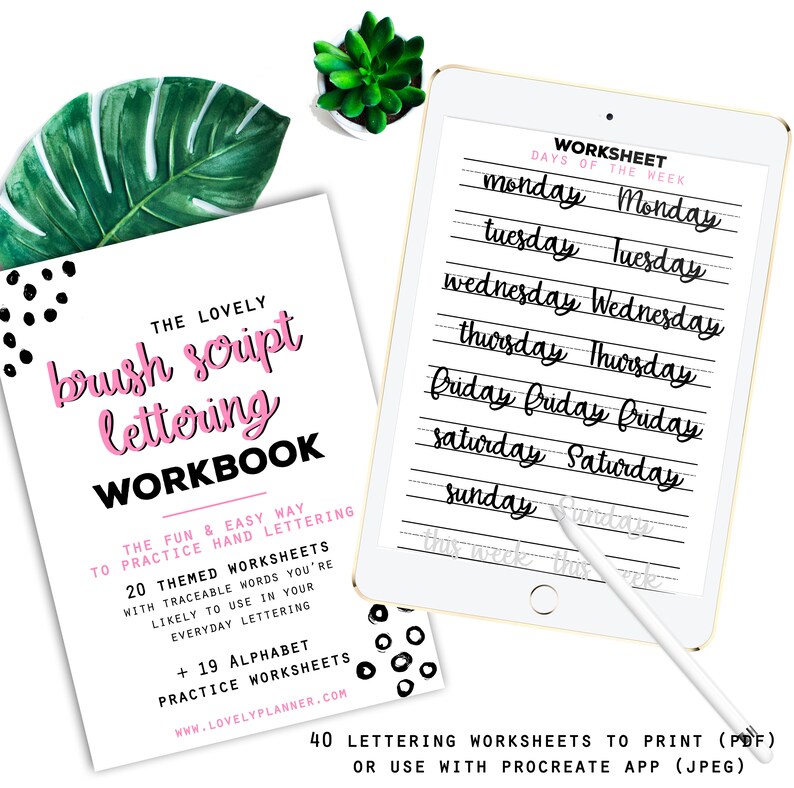 BUNDLE of 5 Lettering Workbooks With 190 Hand Lettering - Etsy