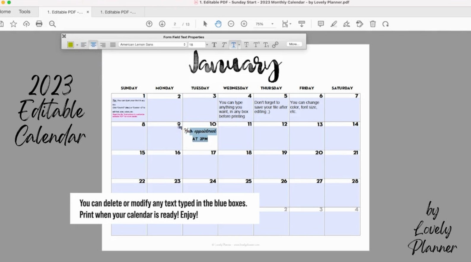 Printable EDITABLE Monthly Calendar Template for 2023 2023 - Etsy