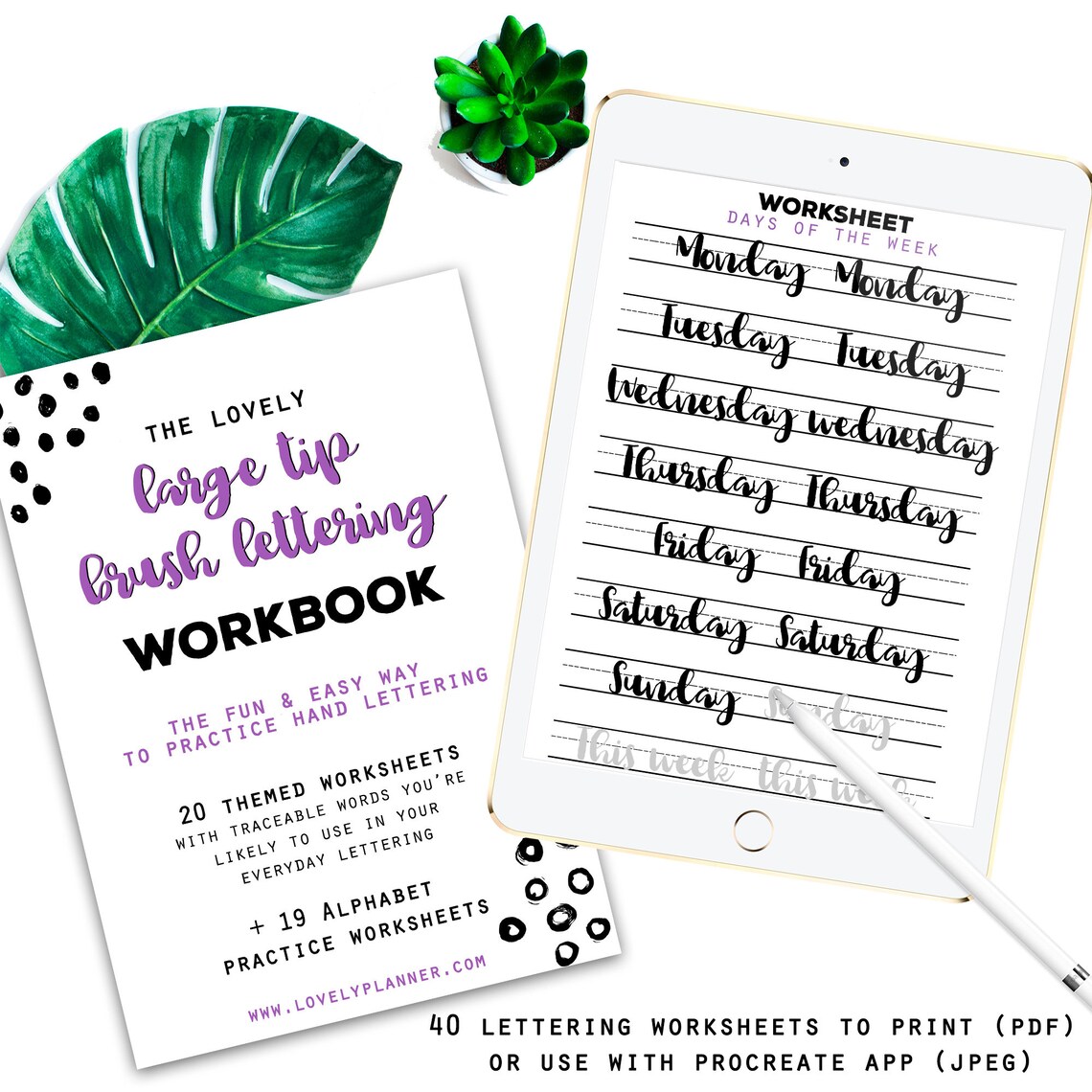 40 Lettering Practice Worksheets Large Brush Lettering for Procreate ...