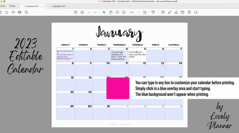Printable EDITABLE Monthly Calendar Template for 2023 2023 - Etsy