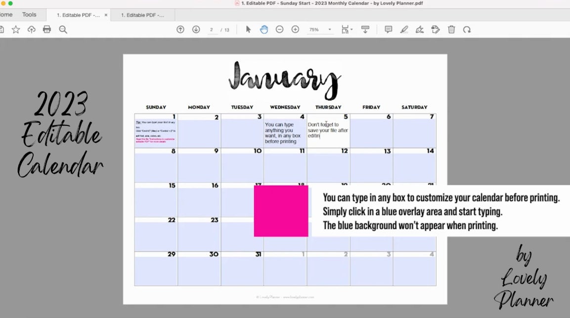 Printable EDITABLE Monthly Calendar Template for 2023 2023 - Etsy
