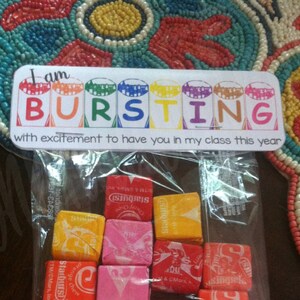 I'm Bursting With Excitement Teacher's Classroom - Etsy
