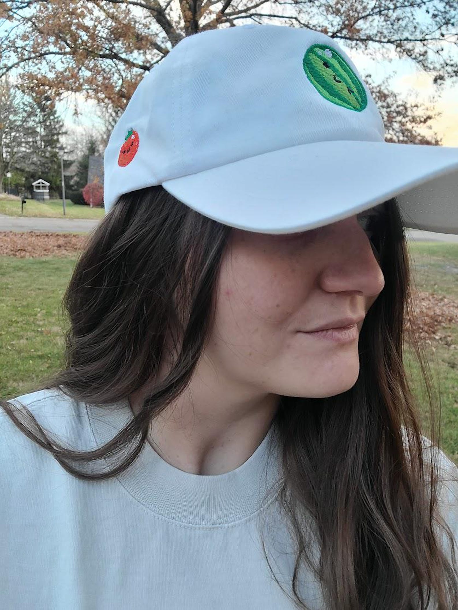 Embroidered Watermelon Game Dad Hat | Gamer Gifts | Suika | Fruit Game ...