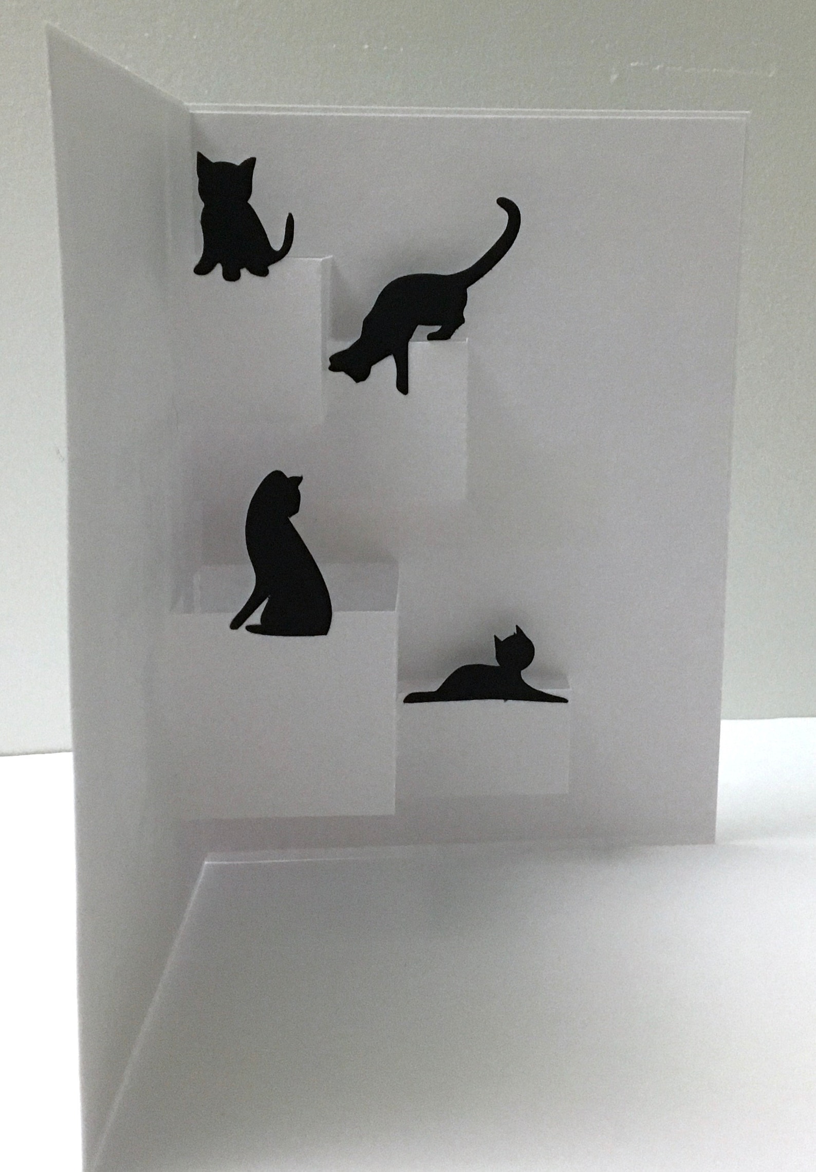 Perfect Day Pop up Cat Card Blank Inside Flowers Kitten - Etsy