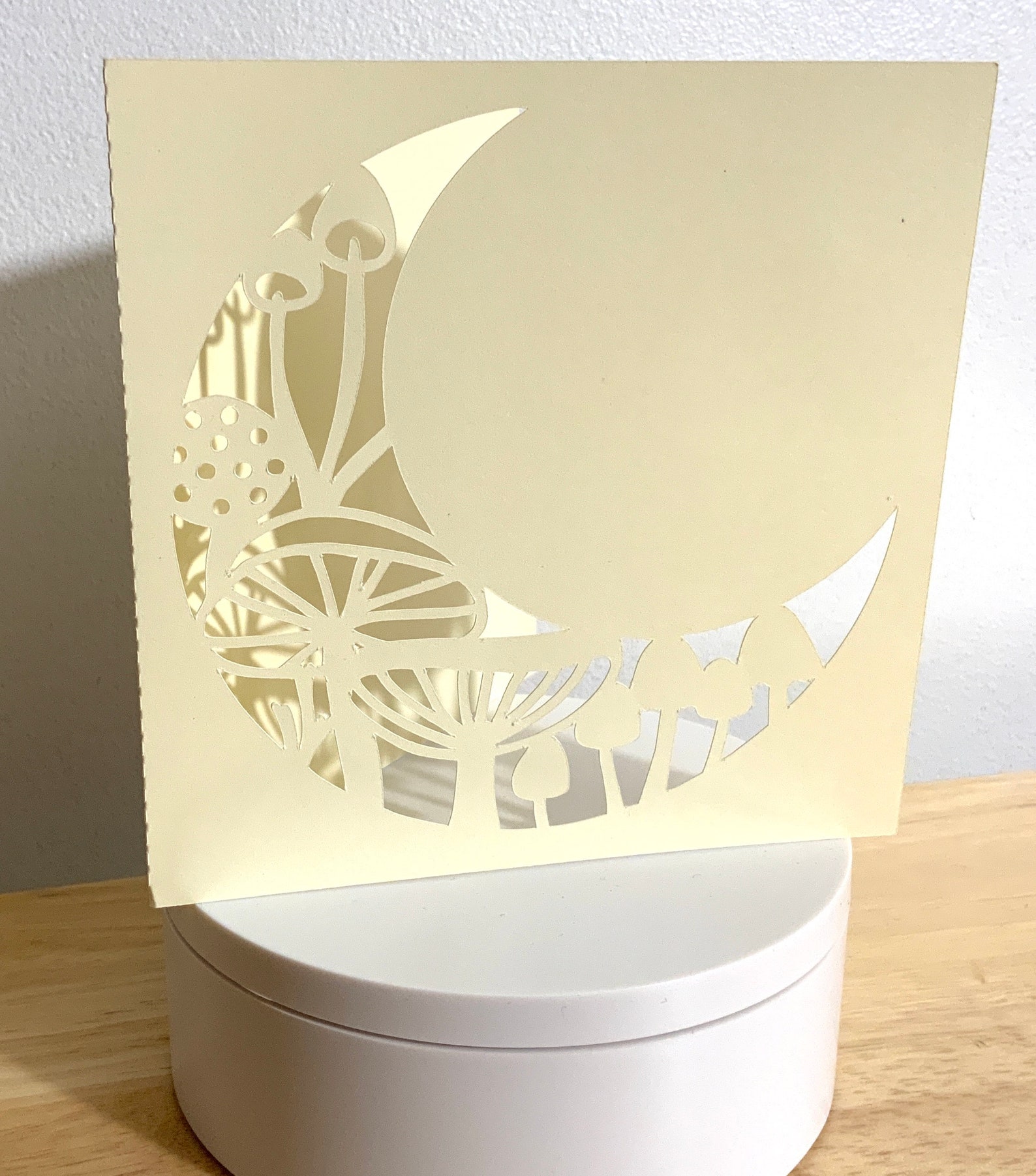 Toadstool Mushroom Card , Blank Inside , Wild , Grow , Fungi , Grow ...