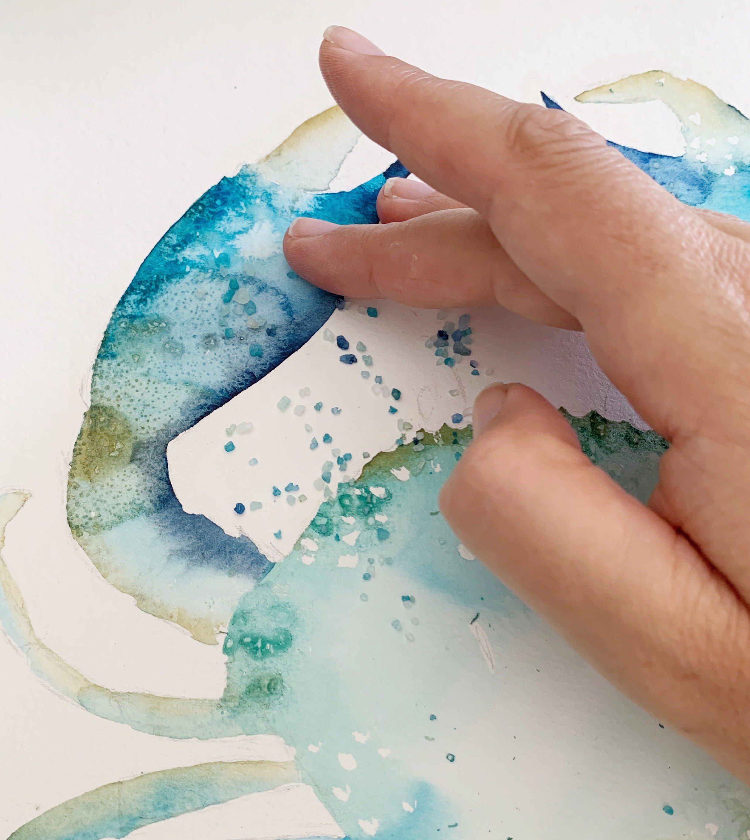 Crab Crab Art Beach Print Ocean Print Ocean Animal - Etsy Canada