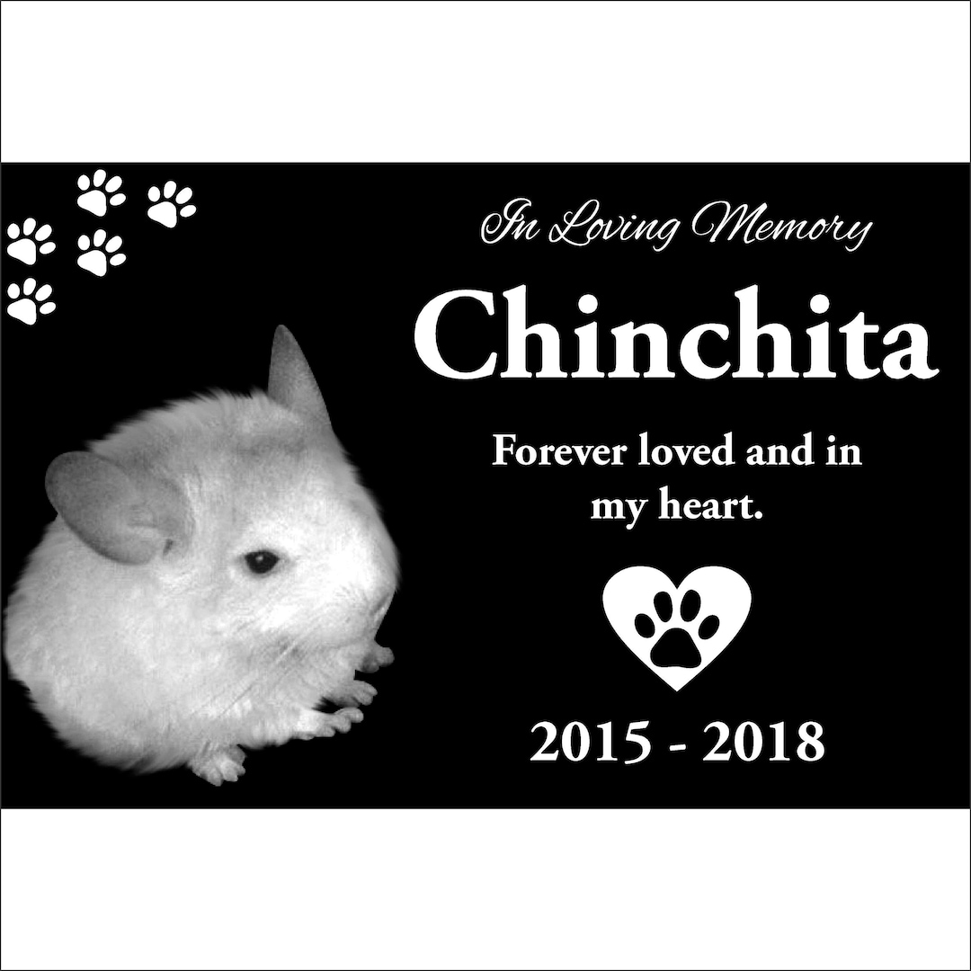 12x8 Custom Personalized Pet Headstone, Tombstone Laser Engraved on the ...