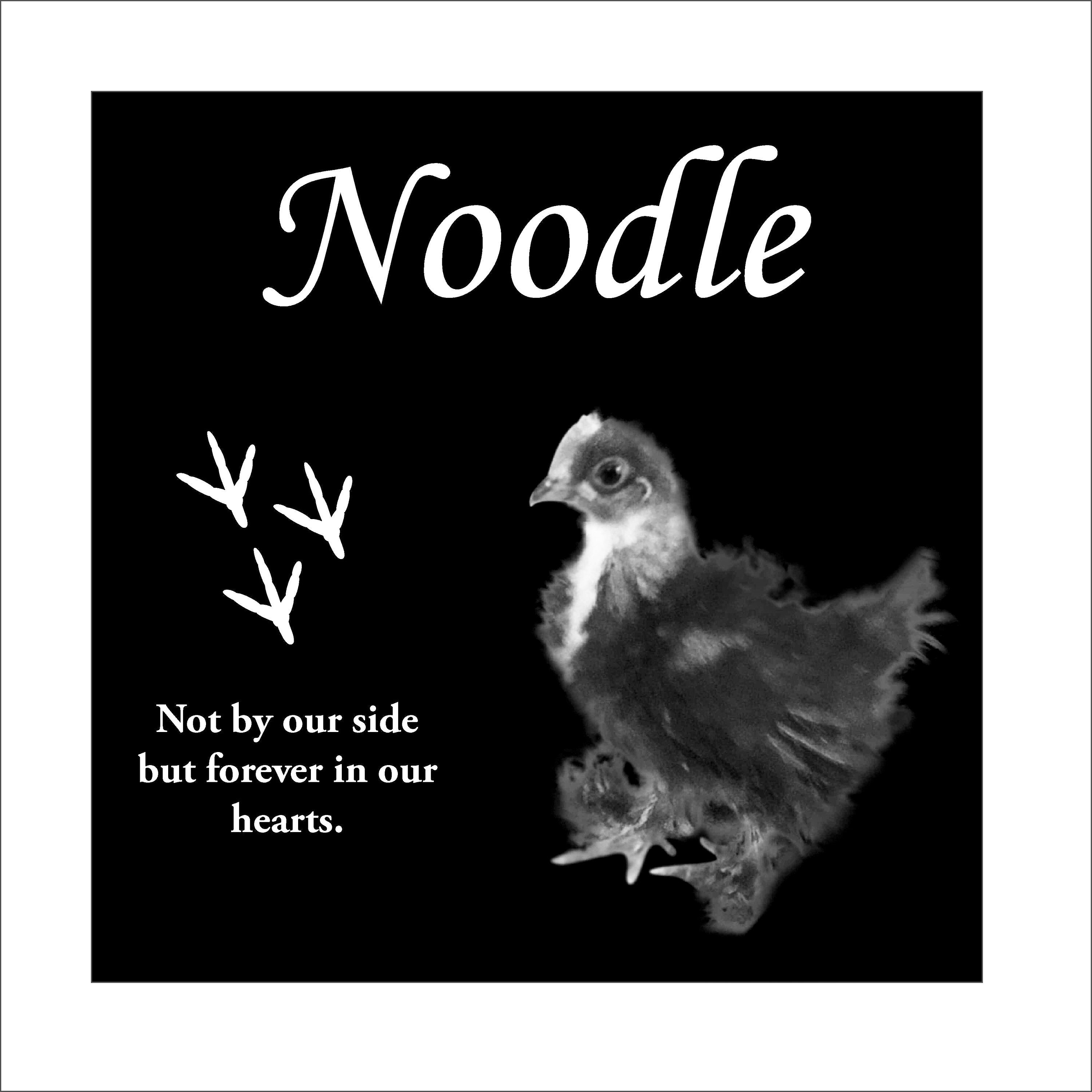 12x12 Personalized Pet Headstone Chicken bird tombstone Laser | Etsy