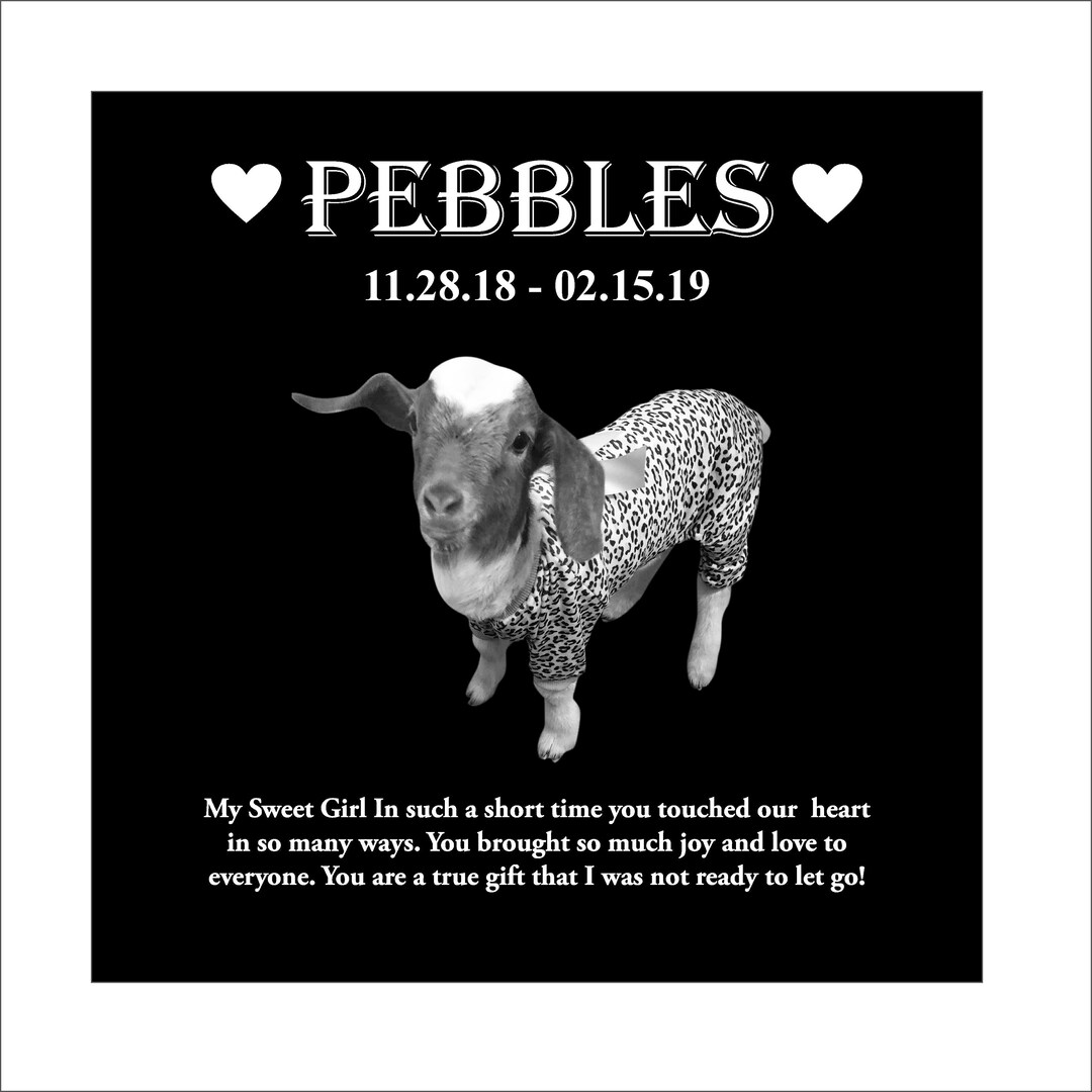 12x12 Personalized Pet Headstone Goat Farm Tombstone Laser - Etsy