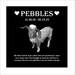 12x12 Personalized Pet Headstone Goat Farm Tombstone Laser - Etsy