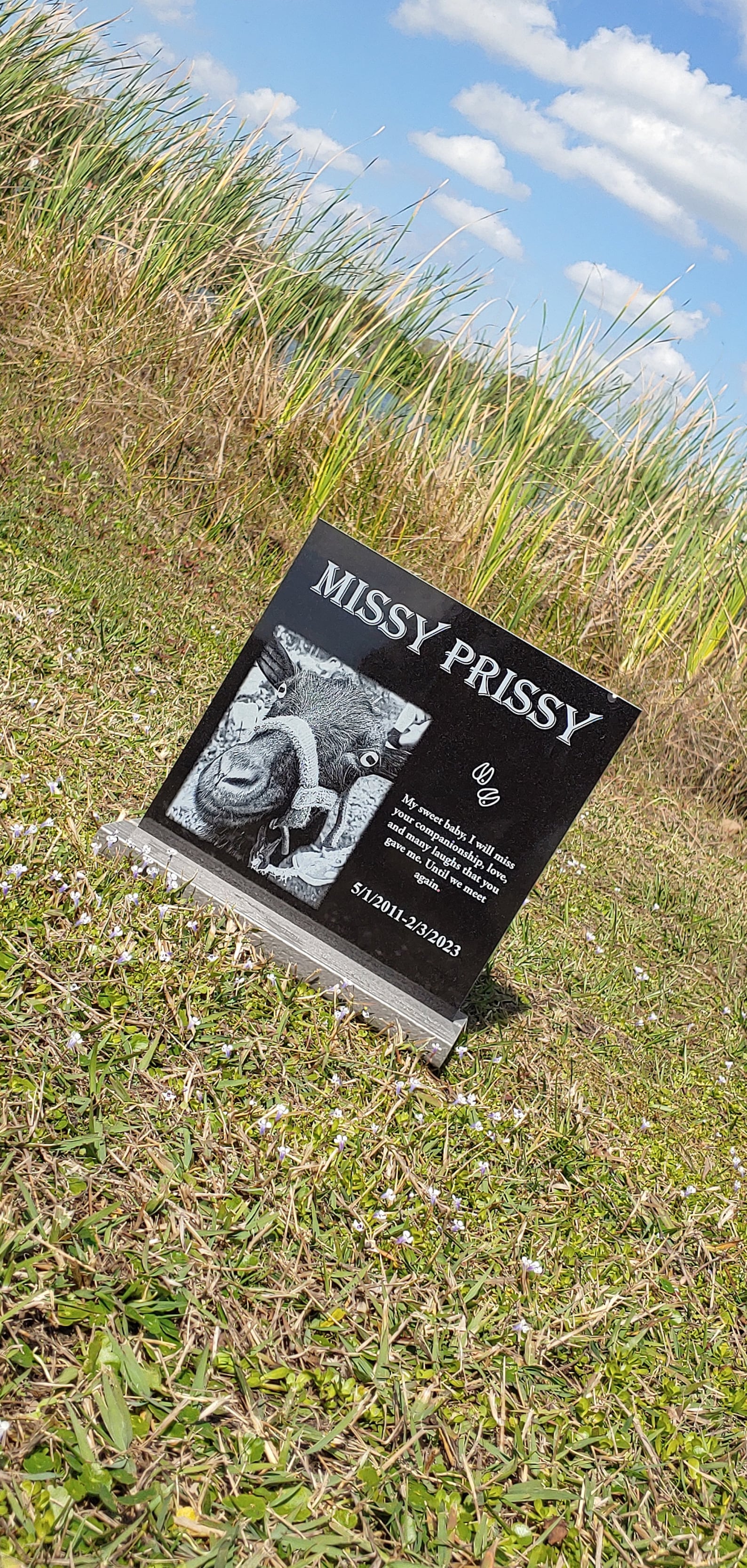 12x12 Personalized Pet Headstone, Goat, Cow, Horse, Pig Farm Tombstone ...
