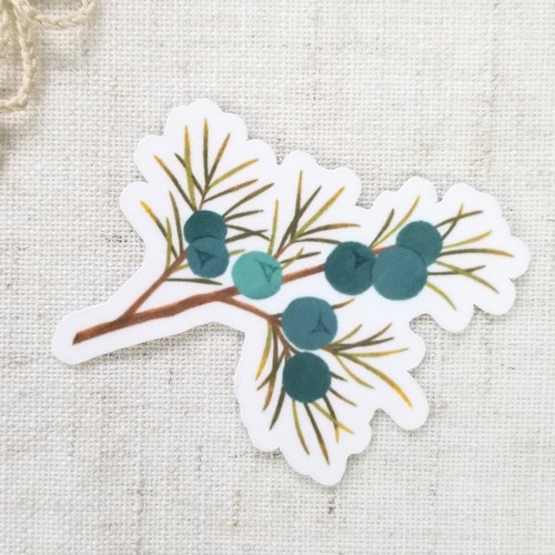Juniper Sticker - Etsy