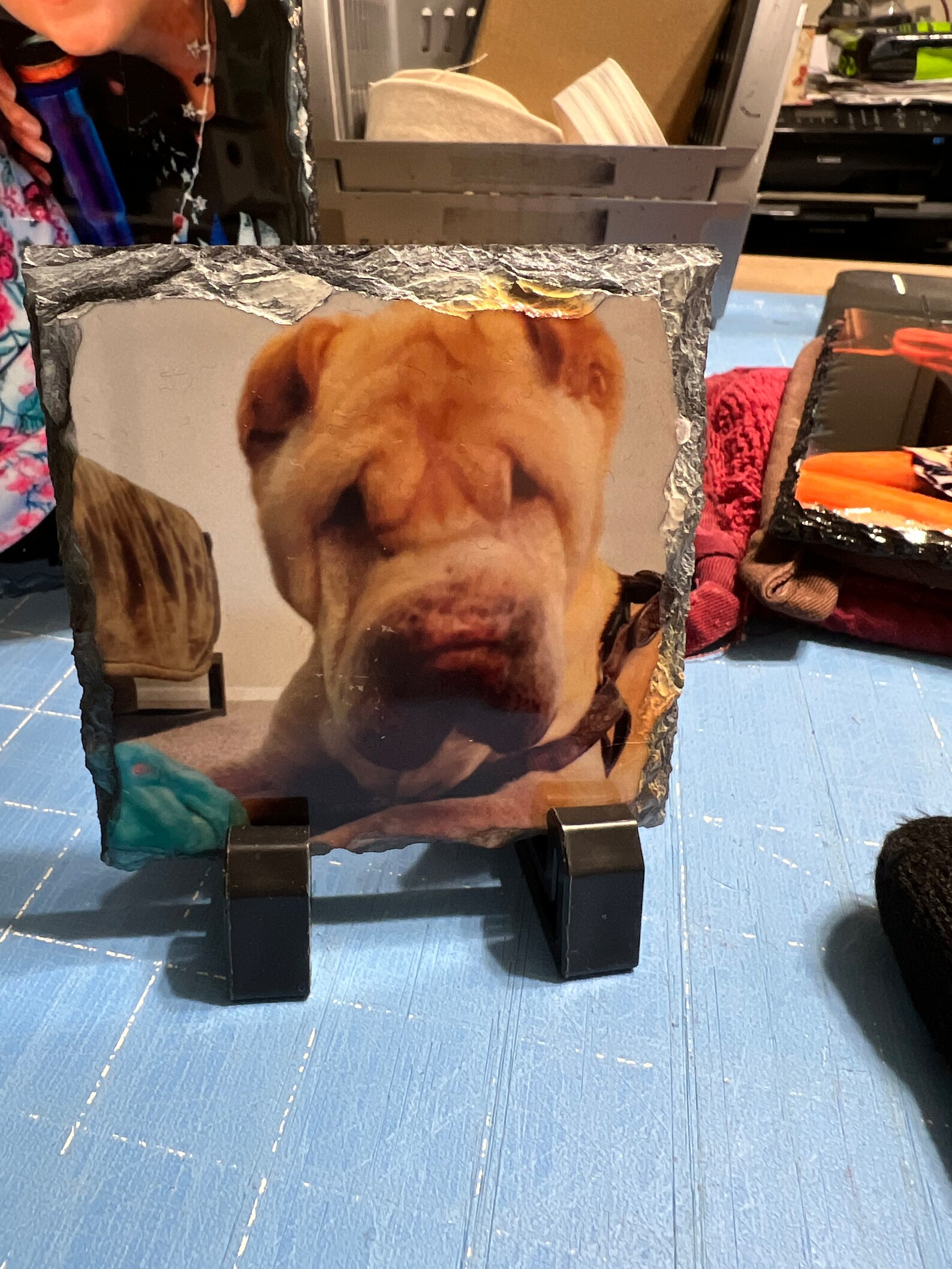 Pet Portrait Memorial or Living Tile Custom Oil Painting Effect 4 X 4 ...