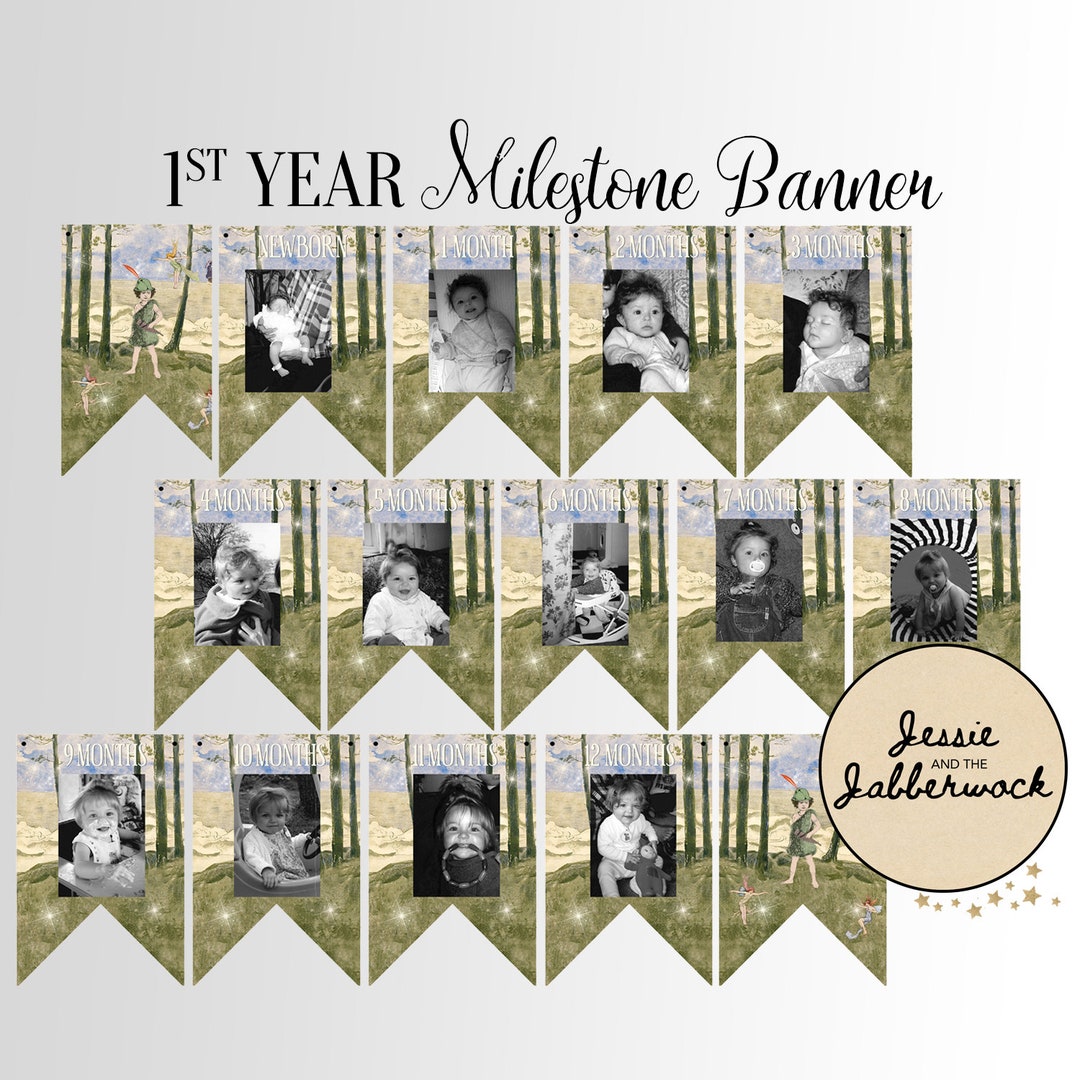 My 1st Year Monthly Photo Banner, Milestone Photo Bunting, Newborn - 12 ...