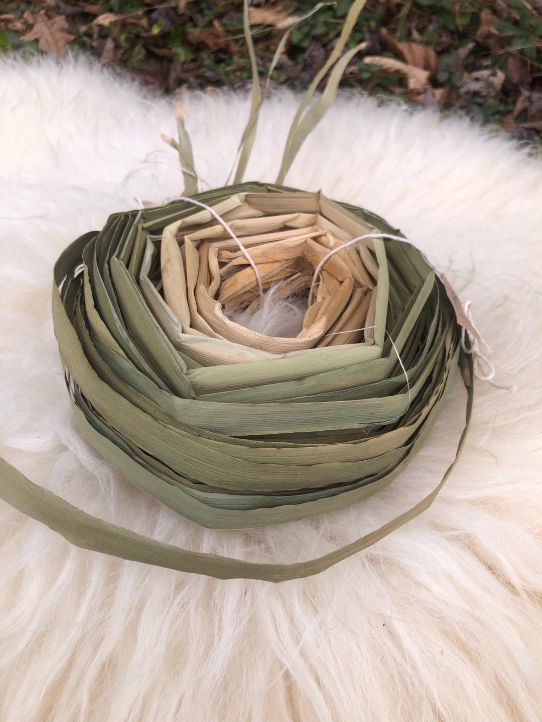 FREE SHIPPING Dried Cattails for Weaving; Wild Weaving Materials ...