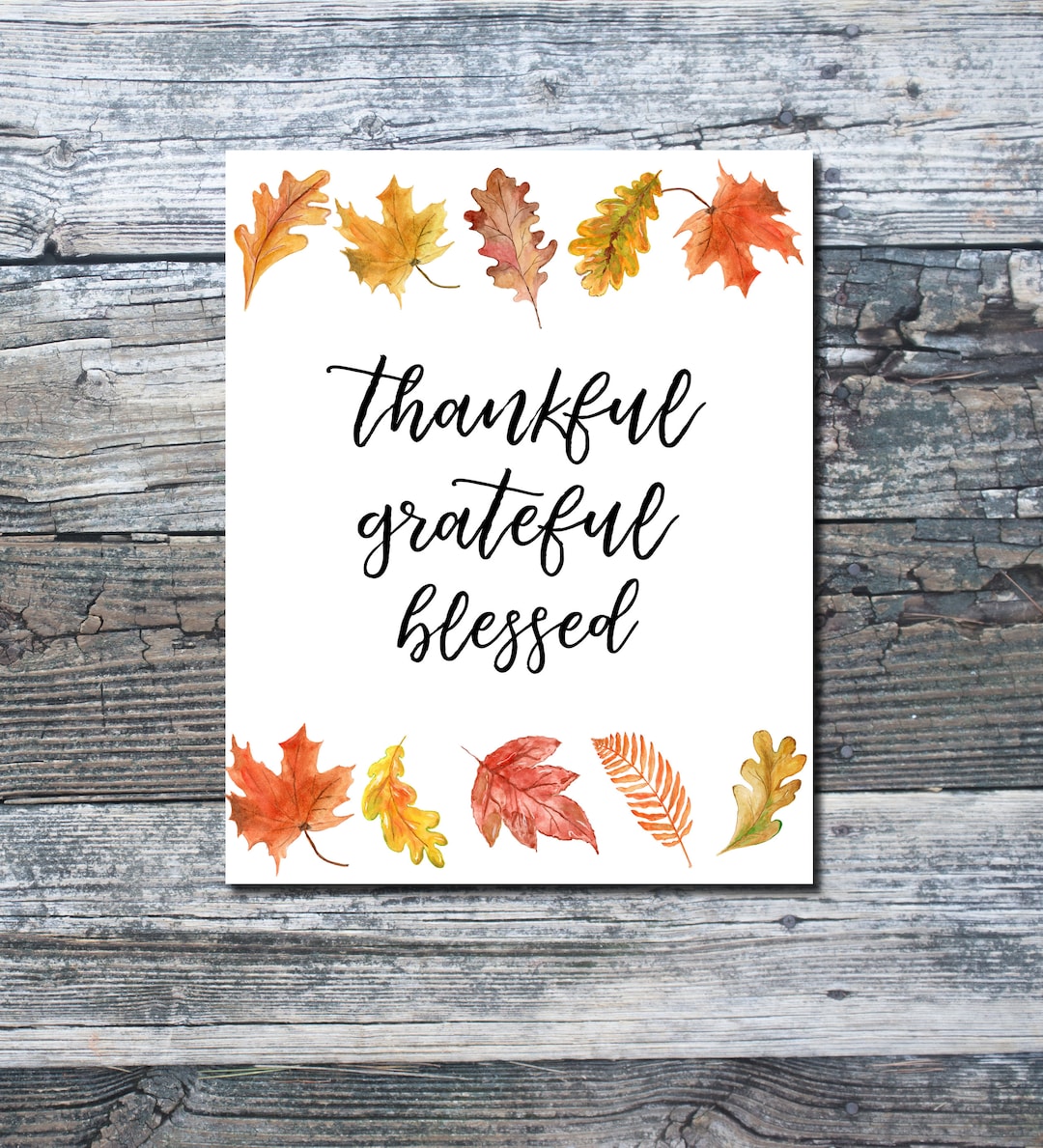 Thankful Grateful Blessed Fall Leaves Leaf Autumn October Gather ...