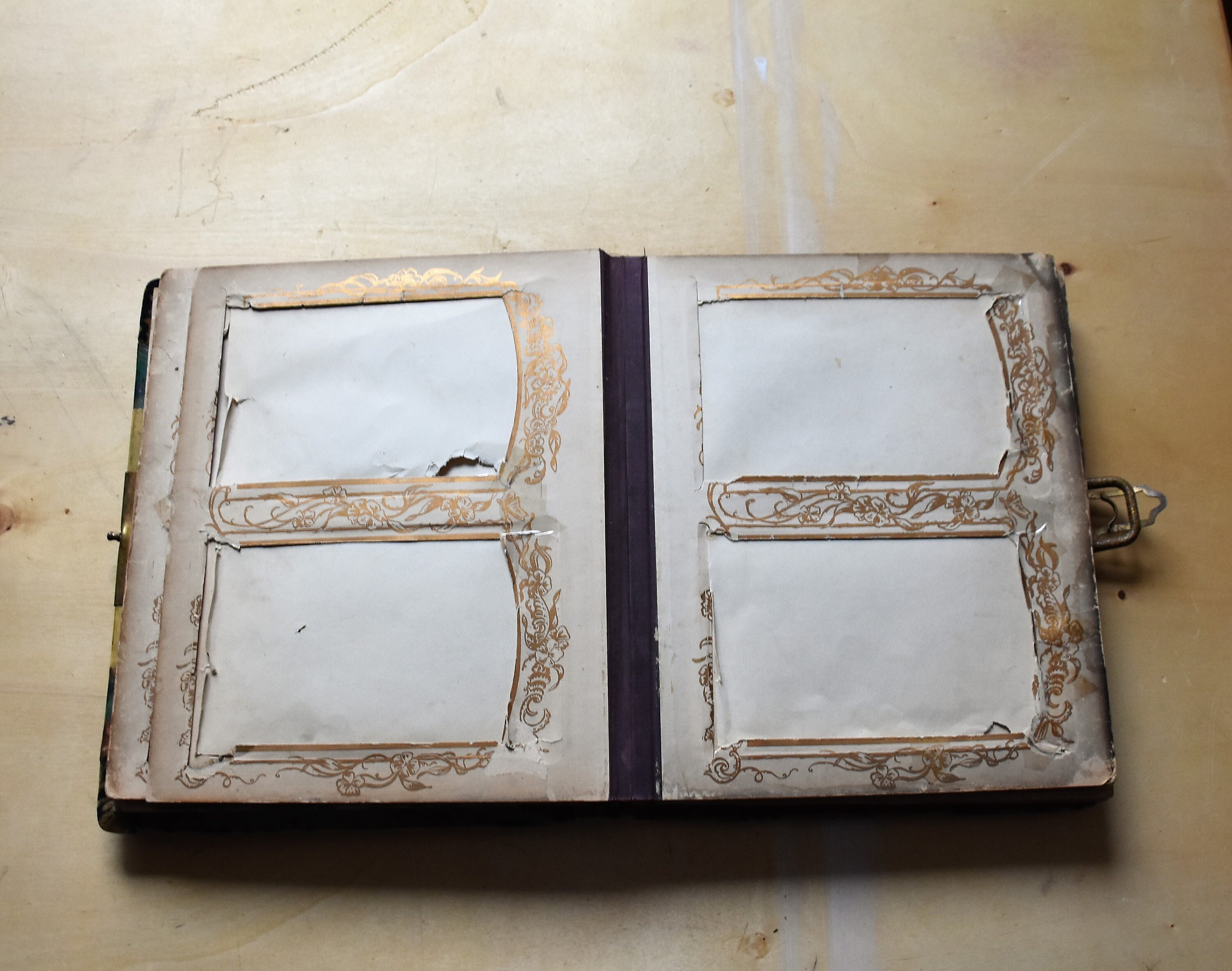 Vintage Celluloid Cabinet-cdv Photo Album - Etsy