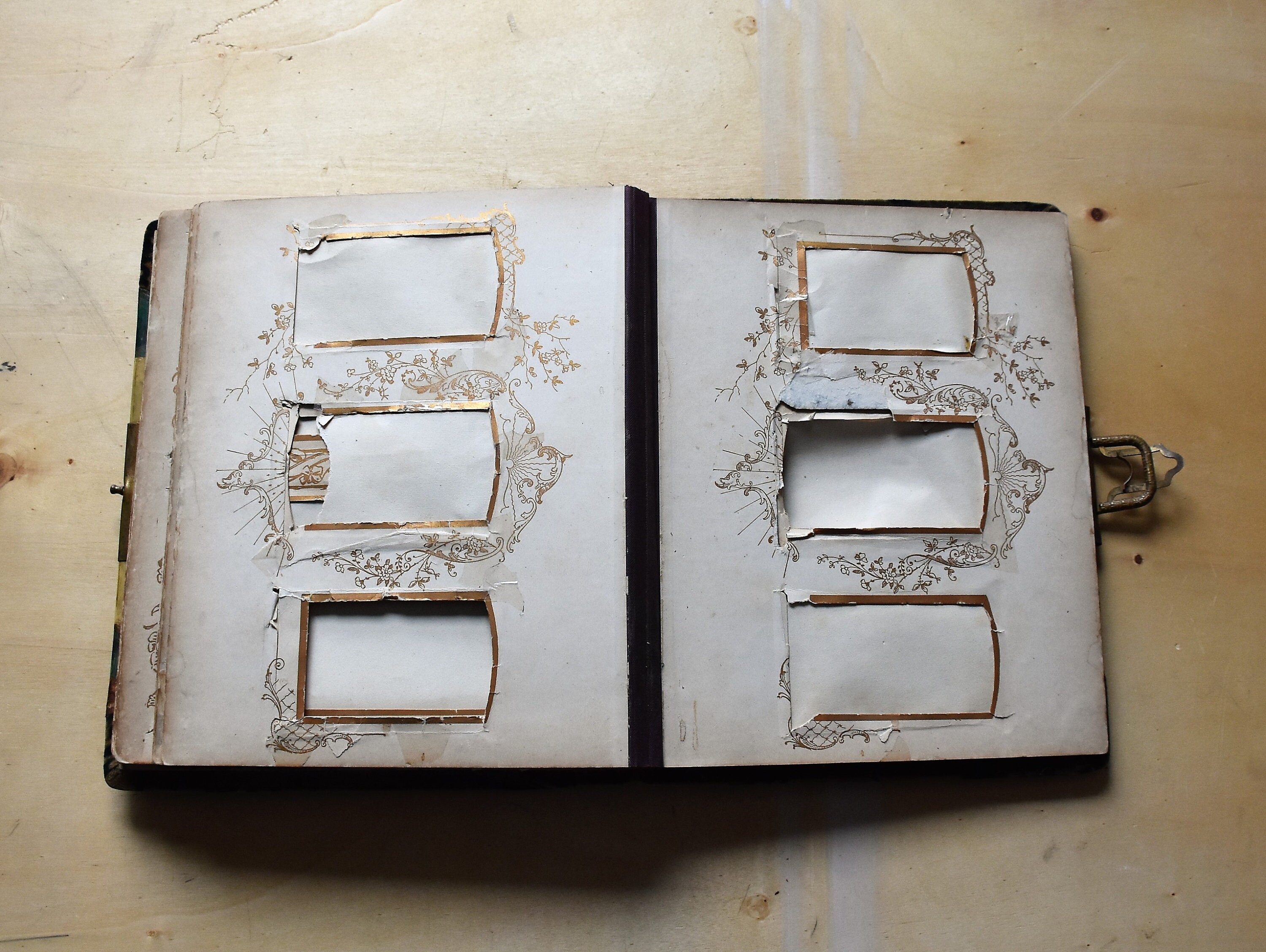 Vintage Celluloid Cabinet-cdv Photo Album - Etsy