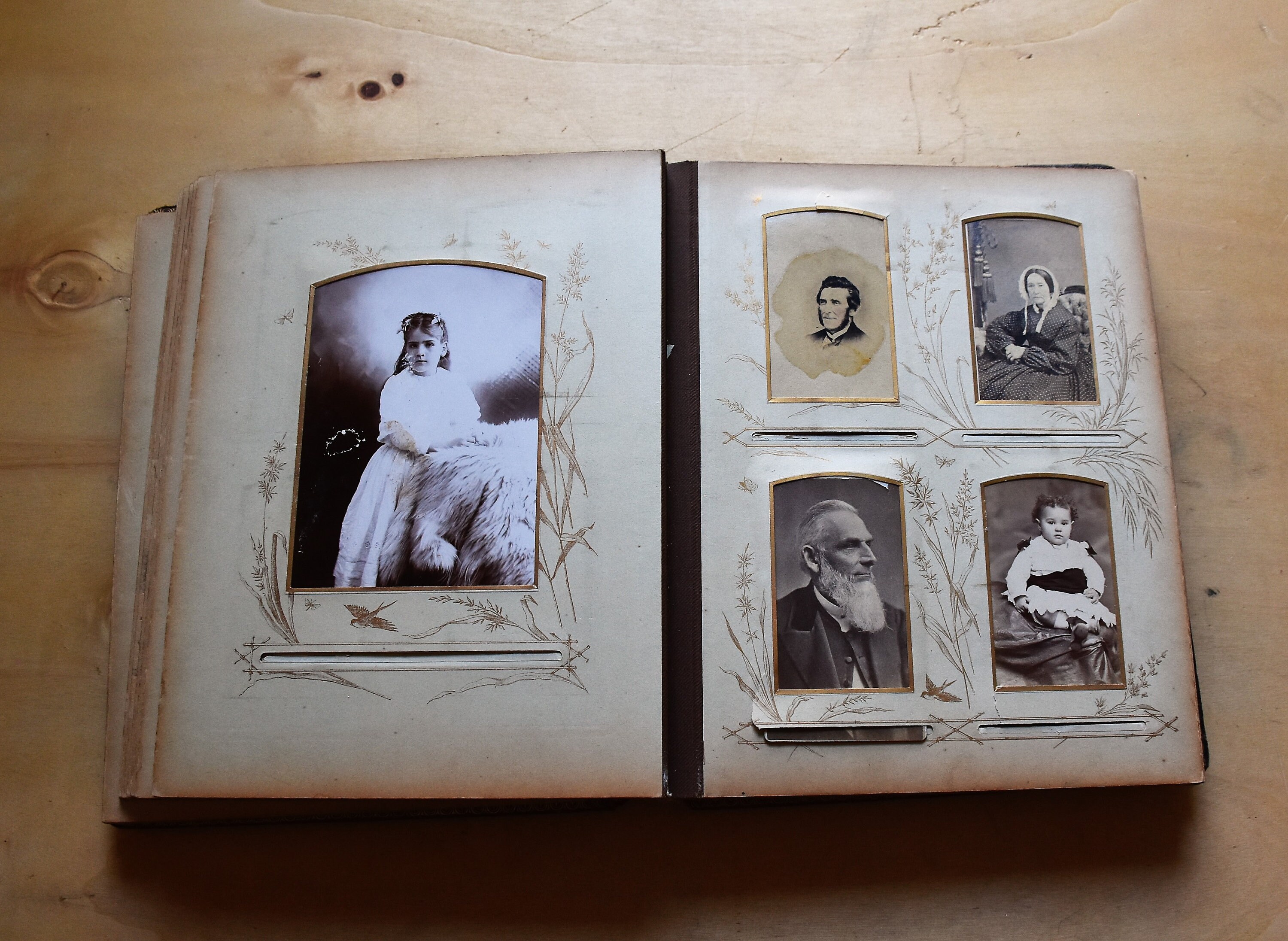 Vintage Cabinet-cdv Photo Album W/photos - Etsy Ireland