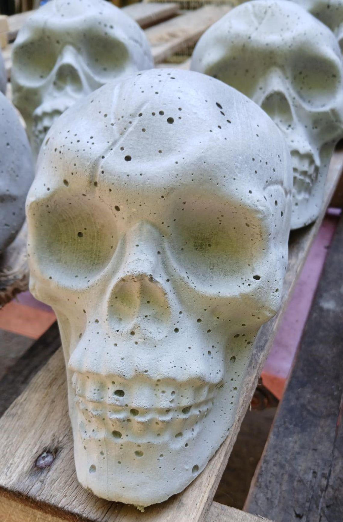 Cement Skull, Concrete Skull, Cemetery, Garden Décor, Witch Garden ...
