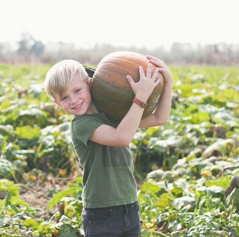 Little Leather-original - Etsy