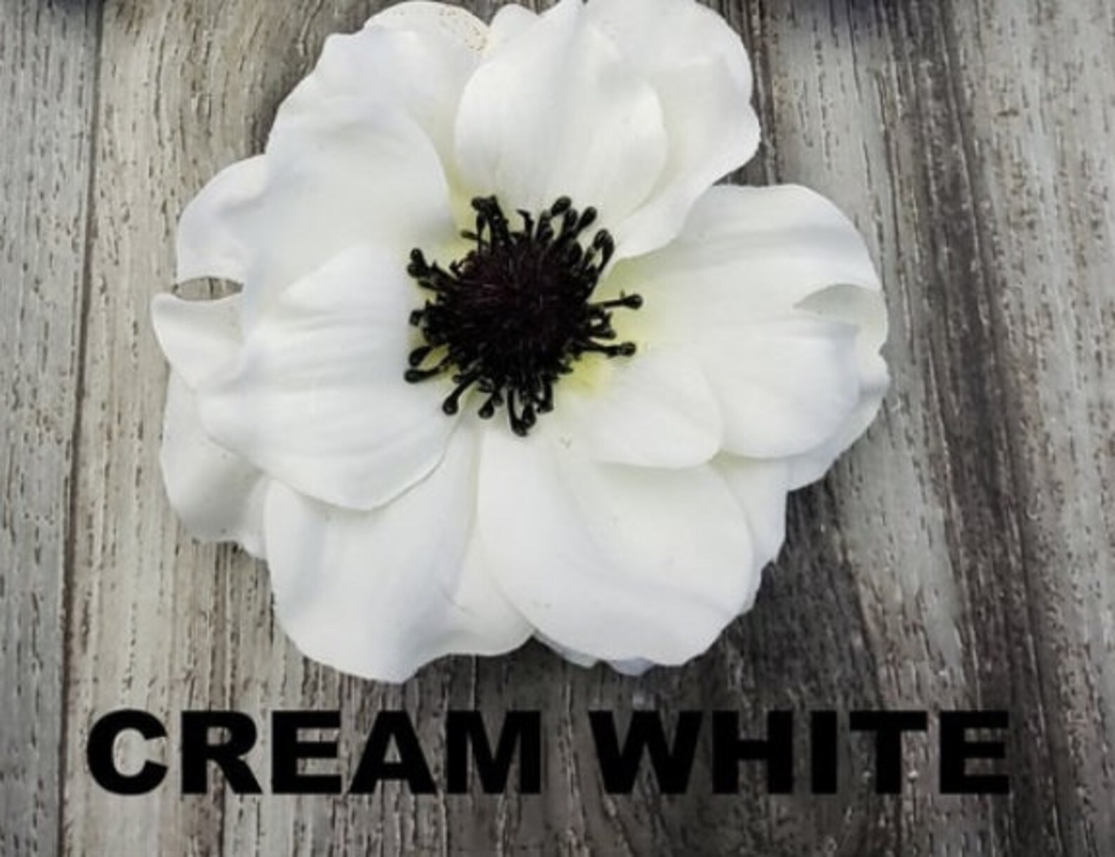BOXED Ivory Realistic Anemone Boutonniere - MATCHING Corsages / Bouquet ...