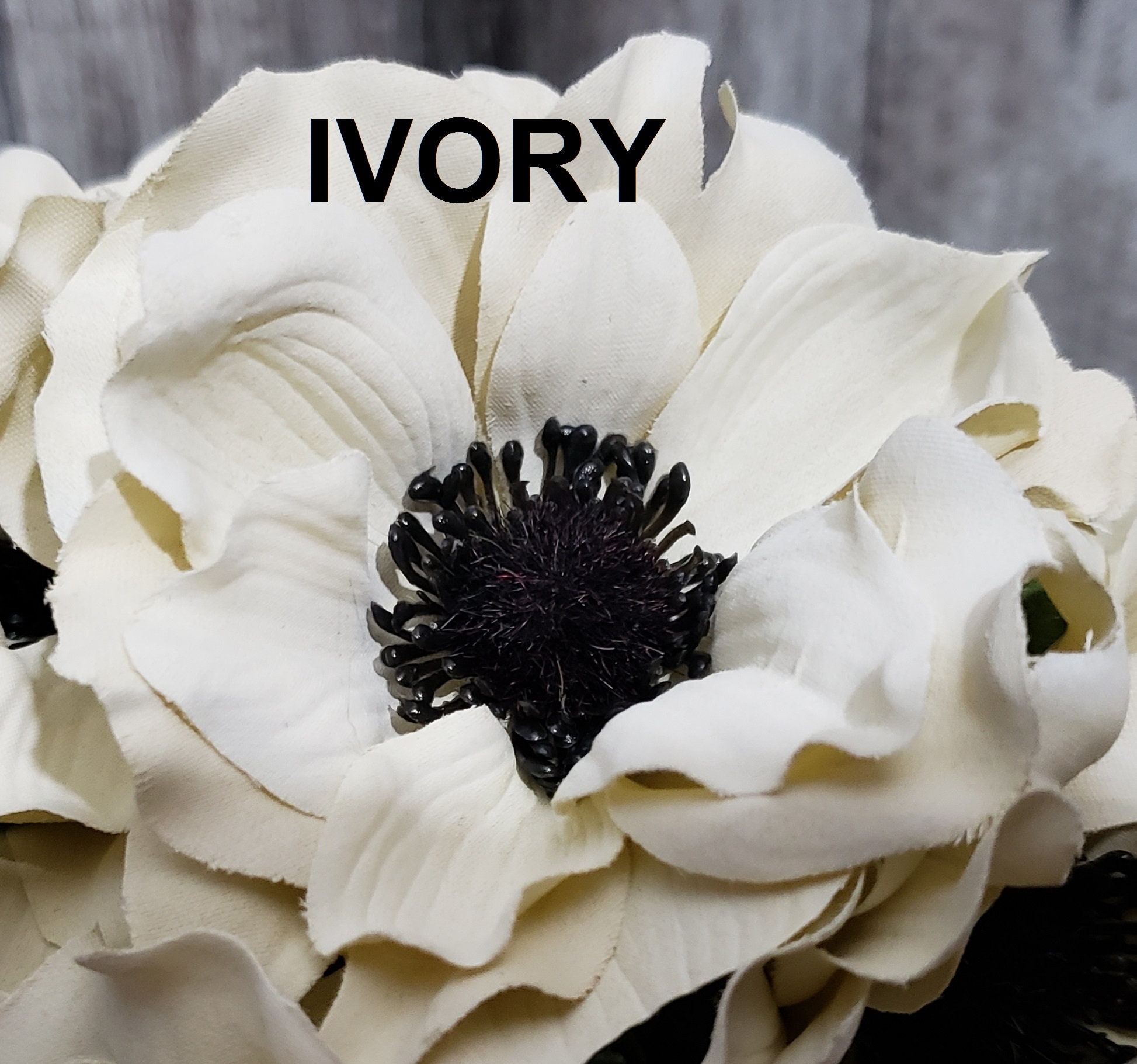 BOXED Ivory Anemone Realistic Center Hair Clip MATCHING | Etsy