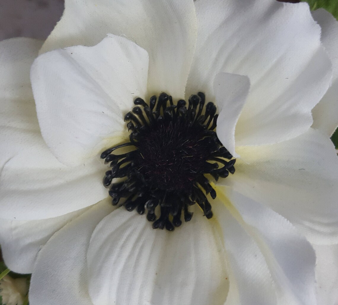 BOXED Anemone Realistic Cream White Real Touch Soft - Etsy