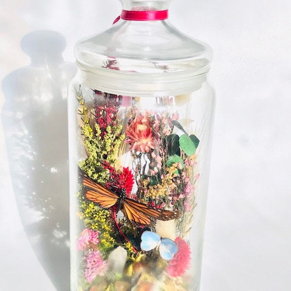 Butterfly Terrarium - Etsy