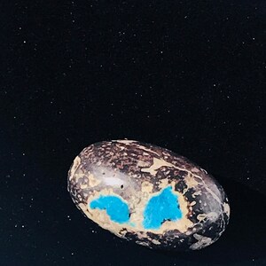 RARE Raw Large Cavansite Crystal, Forgiveness, Peace, Compassion, Heart ...
