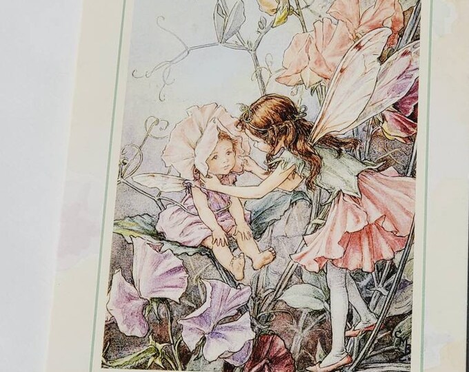 VERY RARE Vintage Cicely Barker Flower Fairies the Sweet Pea Fairy ...