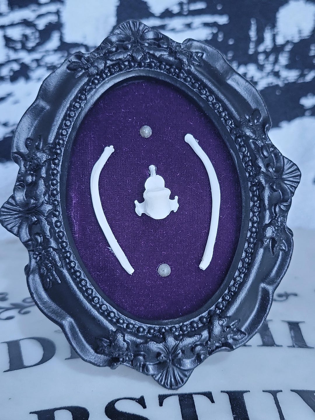 Small Framed Bone Art Gothic Gallery Wall Filler Small Mink Vertebrae ...