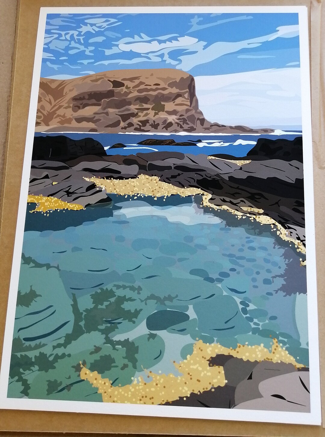 Australian Rockpool Habitat Print - Etsy