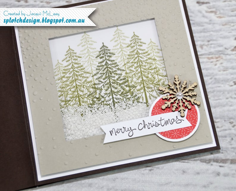 Stampin up Spinner Shaker Card Digital Tutorial - Etsy