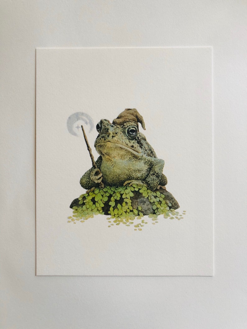 Magical Toad Print - Etsy