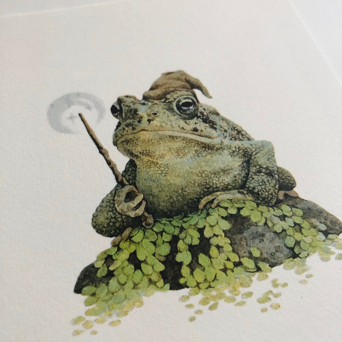 Magical Toad Print - Etsy
