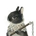 Bunny With Flail Print - Etsy