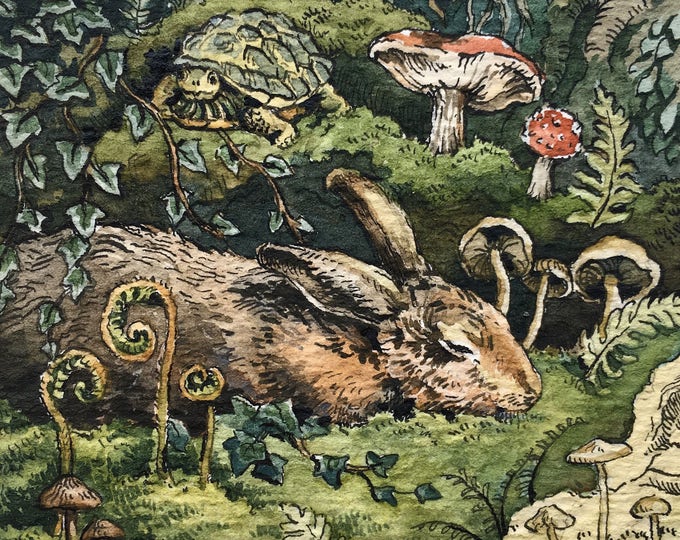 The Tortoise and the Hare Painting - Etsy