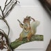 Red Squirrel Bard Print - Etsy