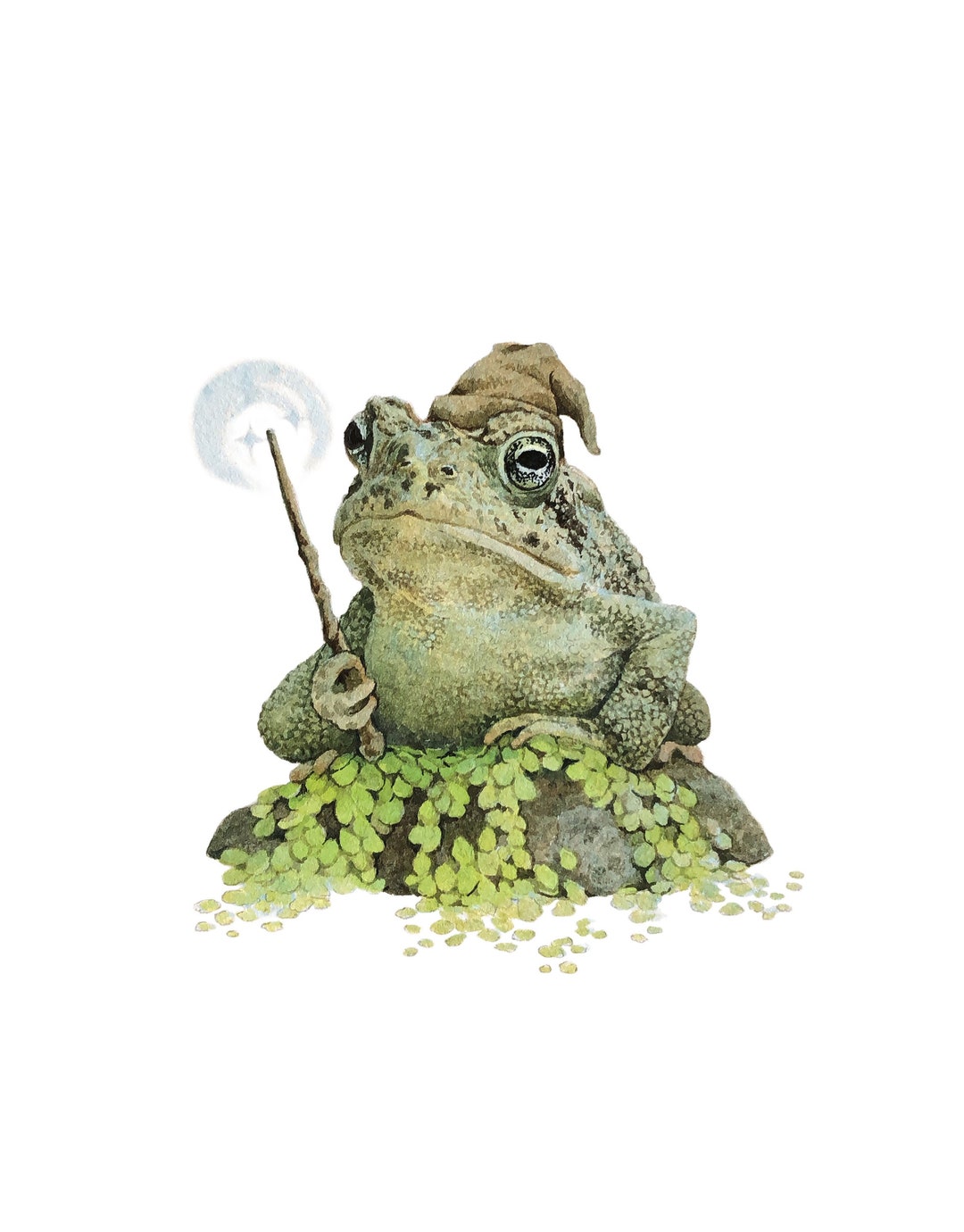 Magical Toad Print - Etsy