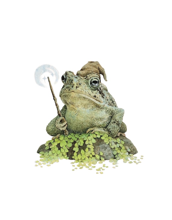 Magical Toad Print - Etsy