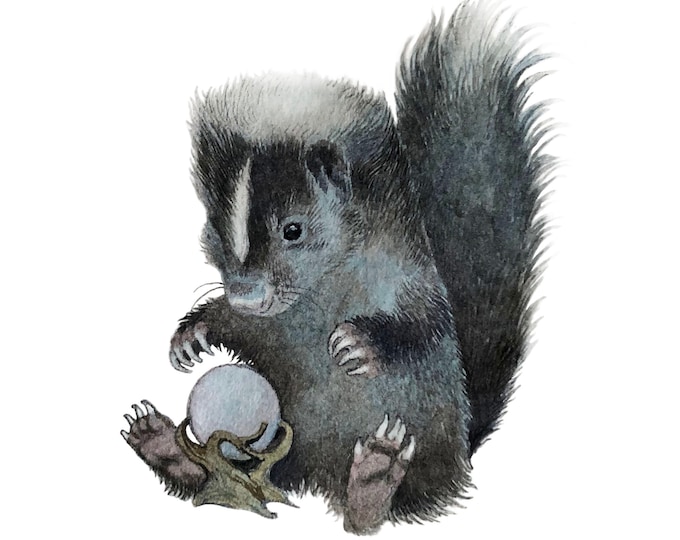 Red Squirrel Bard Print - Etsy